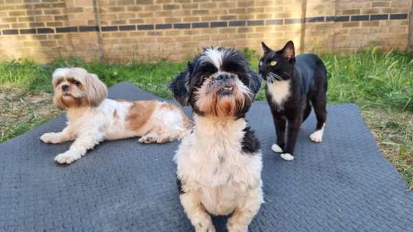 Hello world – Paul's Thoughts